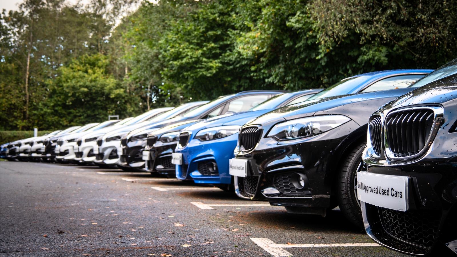 Lloyd Motor Group | New & Used Cars for Sale | Car Service & Repair