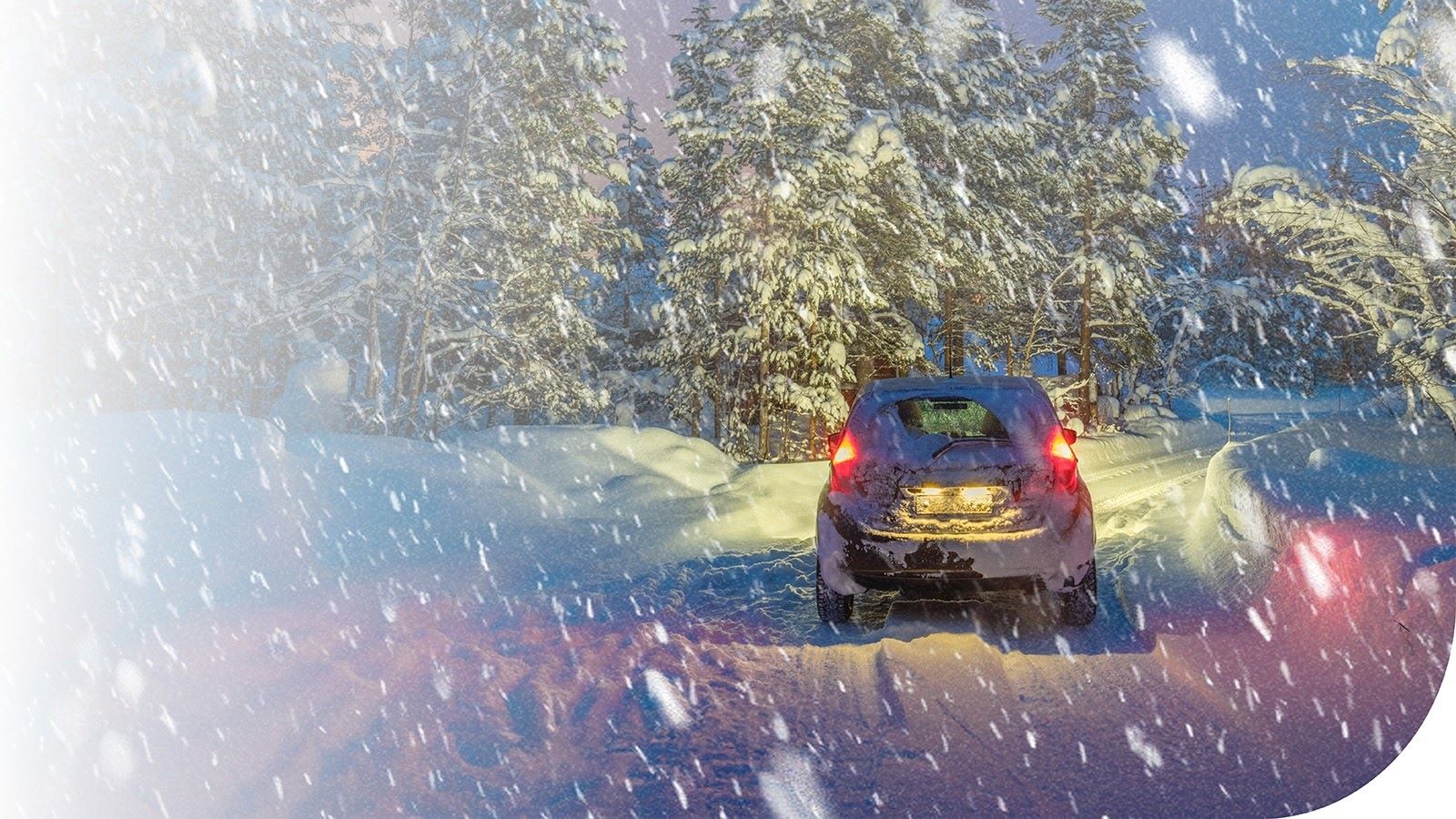 Lloyd Select | Lloyd Motor Group