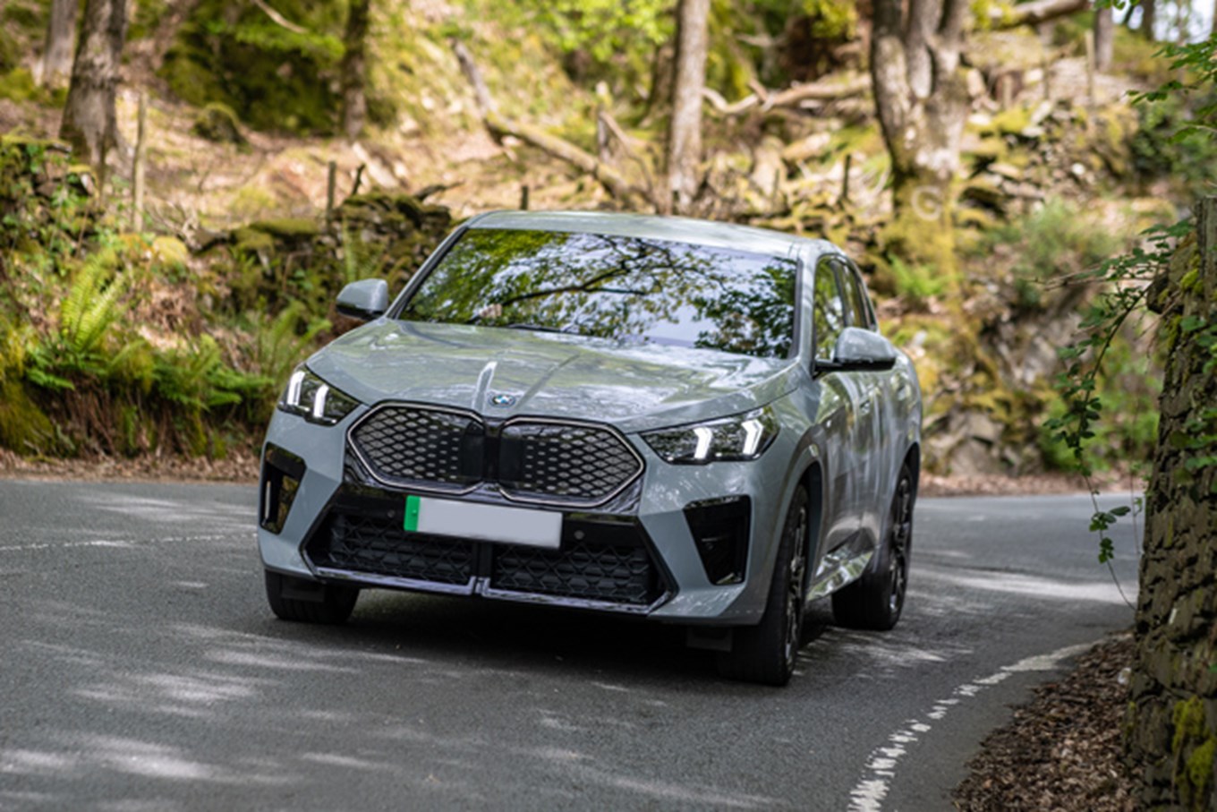 Choosing the Right Business Car | Lloyd Motor Group