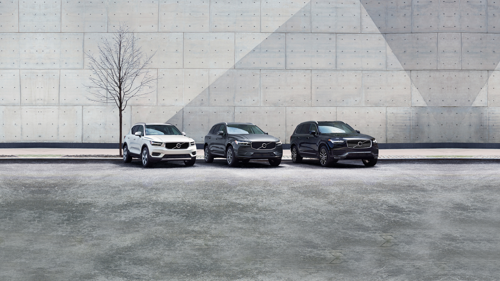 Loyalty Offers & Car Deals 2023 | Lloyd Volvo